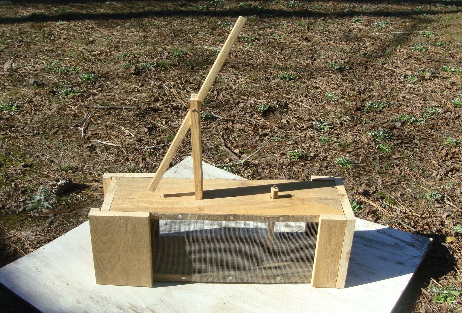 Sensible Survival: Build a Live Trap