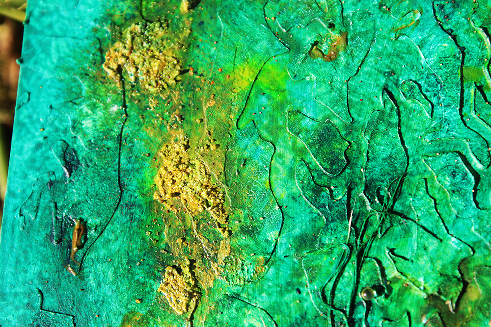 ImpressionScrap: Nature (DT Rhedd's Creative Spirit)