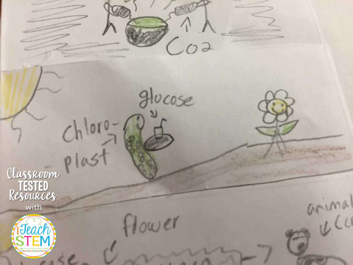 Demonstrate understanding of concepts using visual representations ...