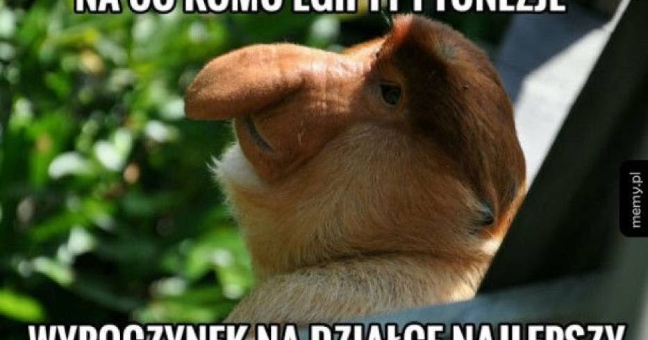 Nie uwierzycie kim naprawdę jest Janusz! - Trzydziestka z VATem