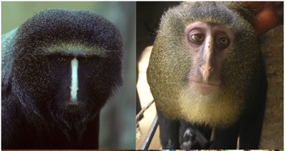 Synapsida: September 2012