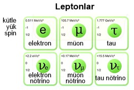Prof. Dr. Bilsen Beşergil: Leptonlar (leptons)