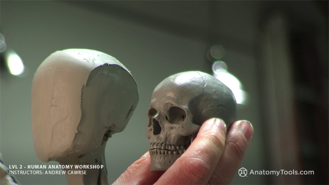 AnatomyTools.com: May 2012