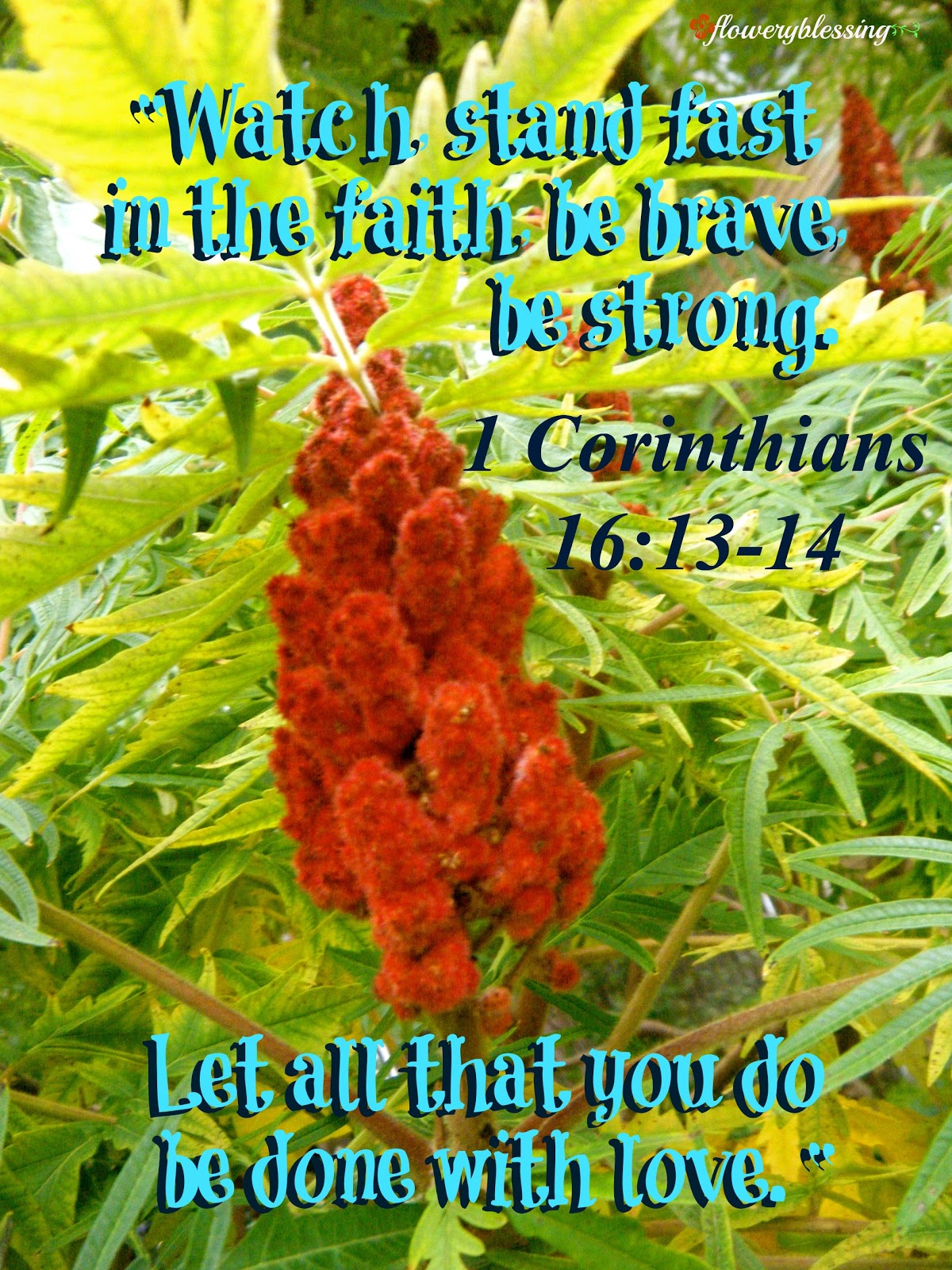 Flowery Blessing: "Watch, stand fast in the faith, be brave, be strong ...