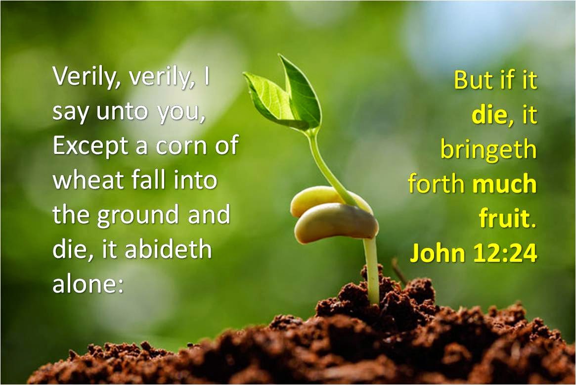 The Latter Days: The Sin You Defend Is the Sin You Are In