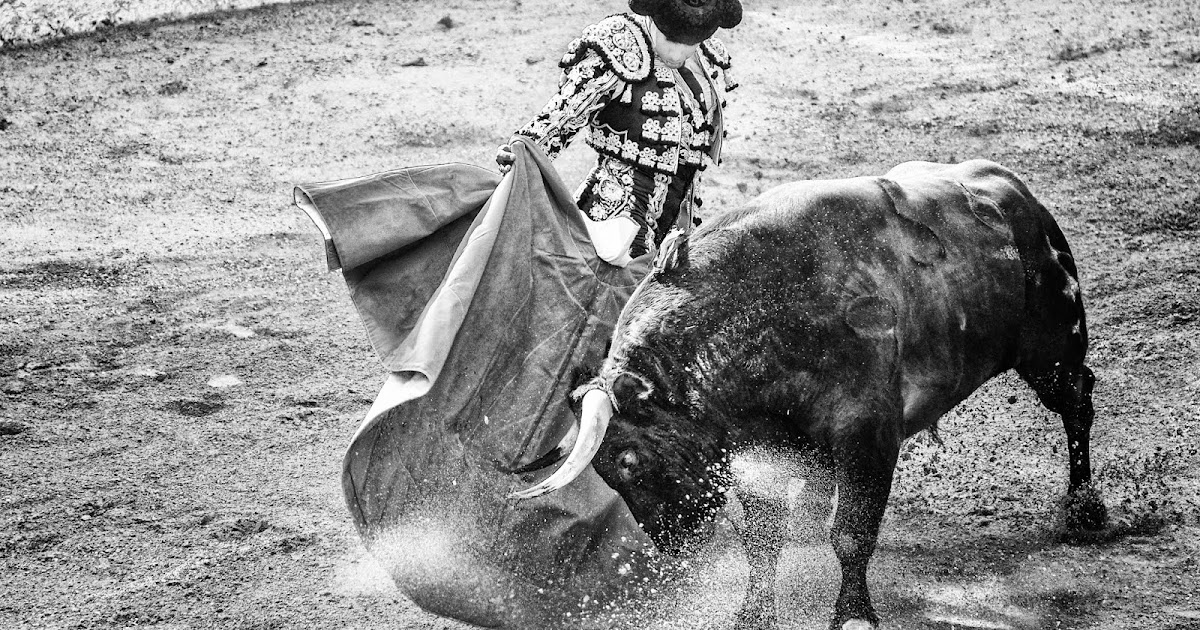 "A red flag to a bull" nghĩa là gì?