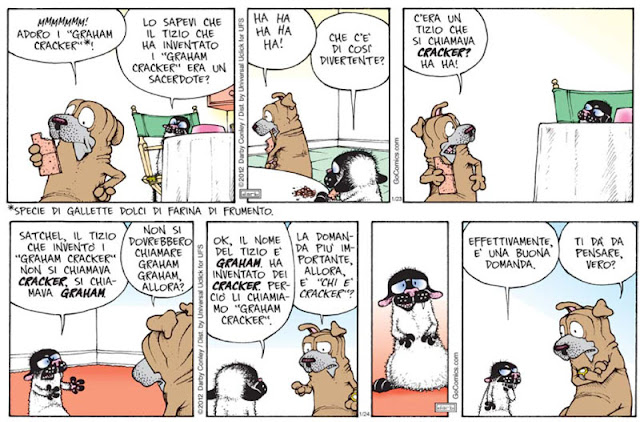 Io & Artù: SATCHEL – GET FUZZY