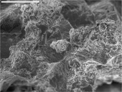 BigLee's Miniature Adventures: Revisiting 'Lead Rot'