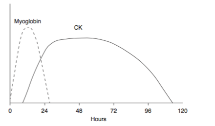 EM Didactic: The patient with Long lie - Rhabdomyolysis