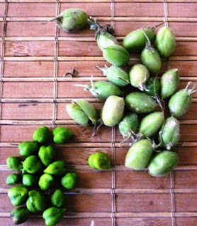 Salted Harbhara | A few of my favorite recipes