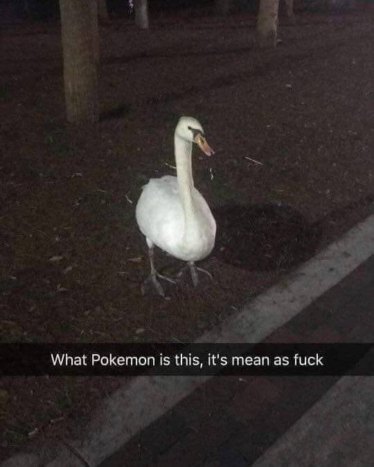 Kari LikeLikes: What Pokemon is this? #pokemongo