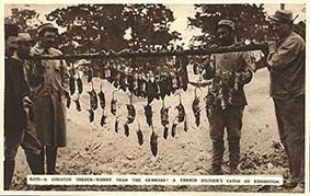 World War I Bridges - WW1 Centenary from the river Piave: Photos of ...