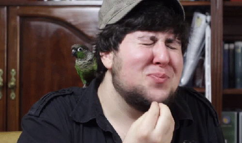 Jontron Ech Gif