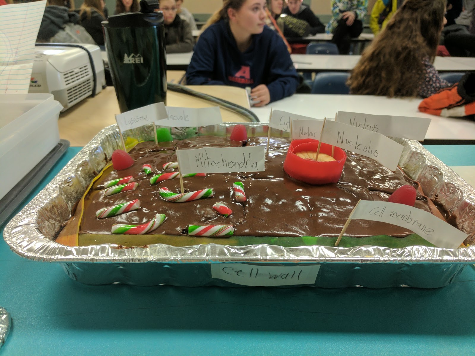 Science 8: Edible cell project ~ Mr.I The Science Guy