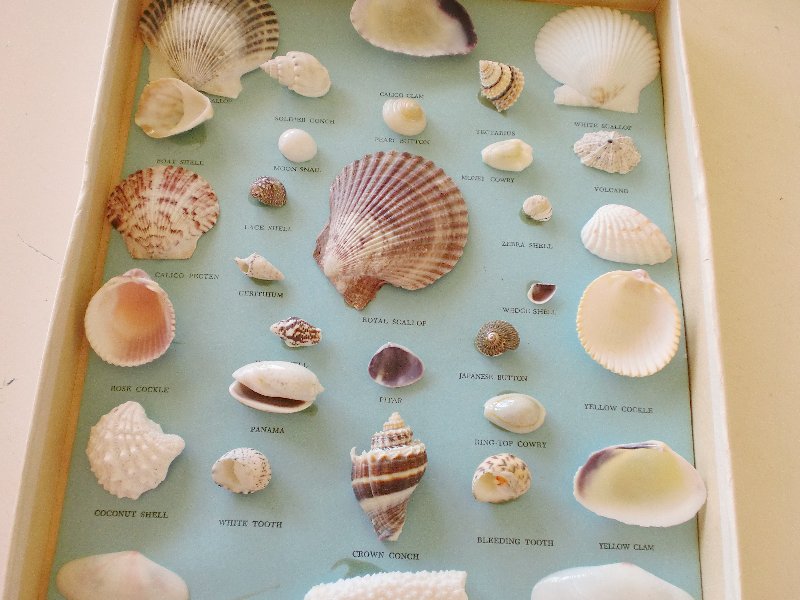 Summer DIY project | White Ironstone Cottage