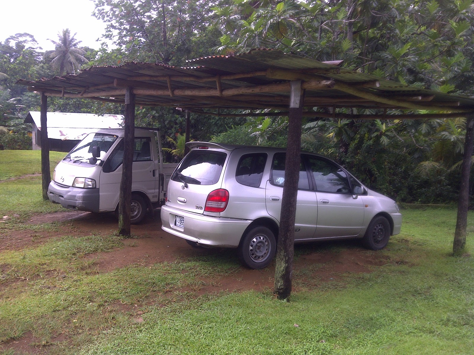 IRIS MICRONESIA: Iris Micronesia Base #1