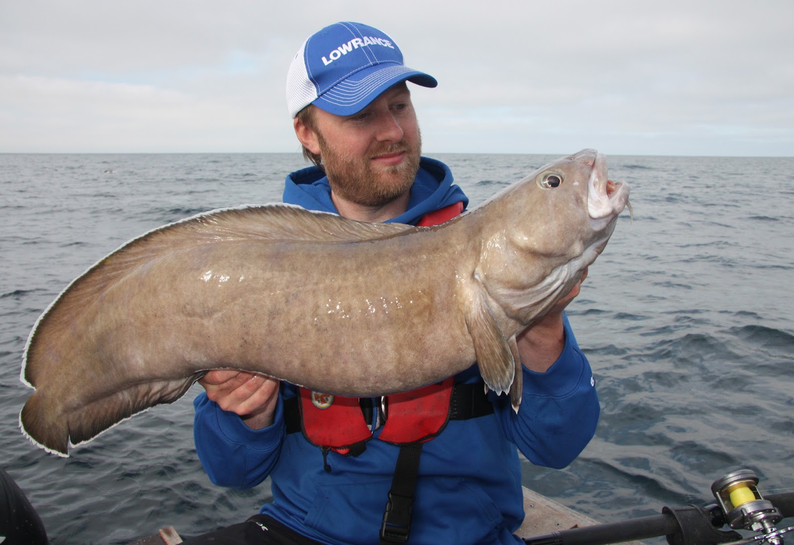 Team Isola: 10-gradarn - where the action is!