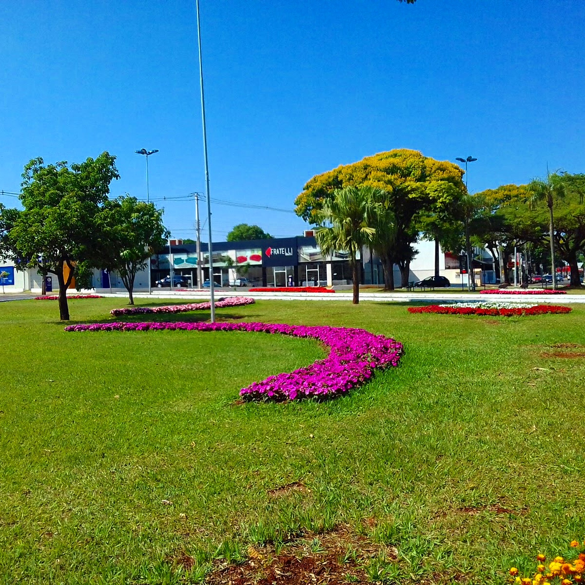 Amo a natureza!!!: Um pouco da cidade de Maringá-Pr