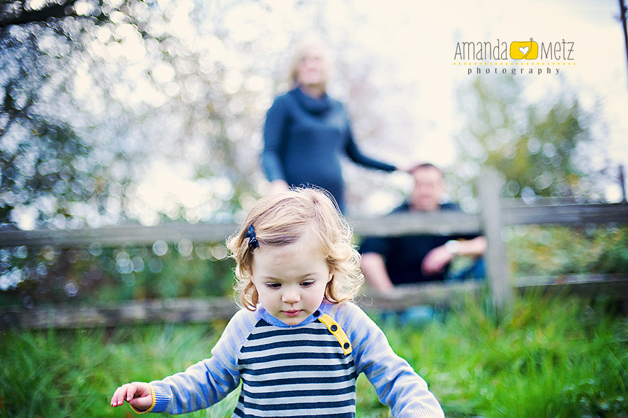 Amanda Metz Photography Blog