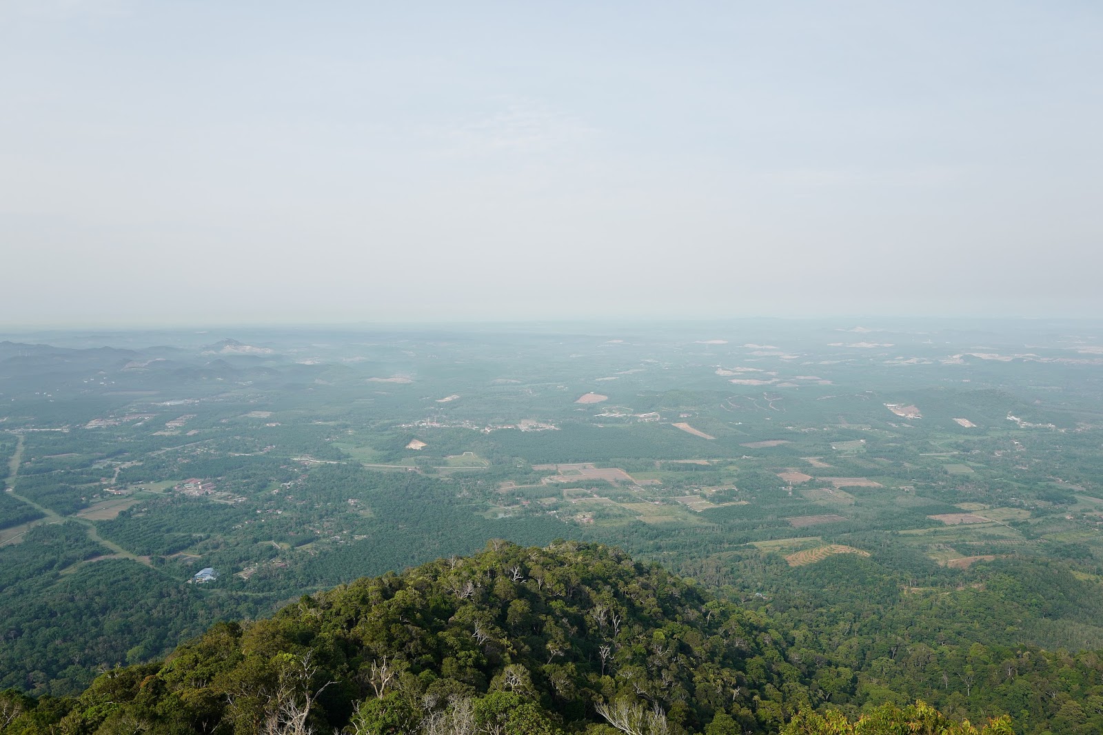 JE TunNel: Hutan Lipur GUNUNG DATUK @ Kota, Negeri Sembilan~ A Dream ...