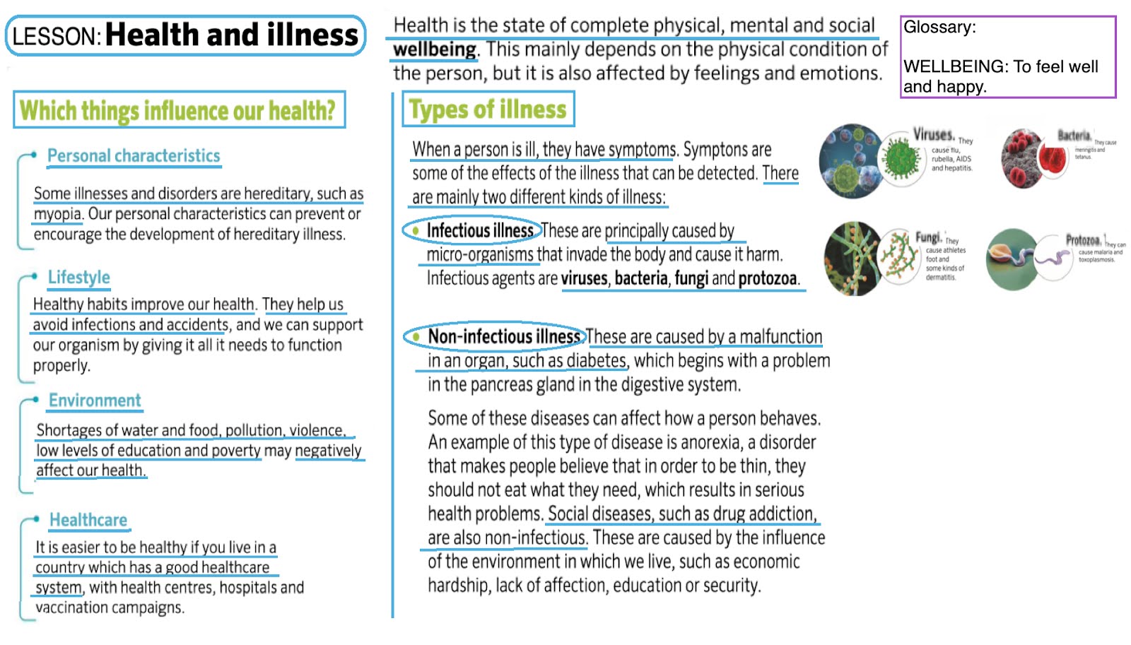 Blog de 6º de Primaria: NATURAL SCIENCE - UNIT: HEALTH, IT'S GOOD FOR ...