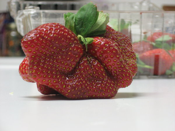 Deformutilation: Mutant Strawberries