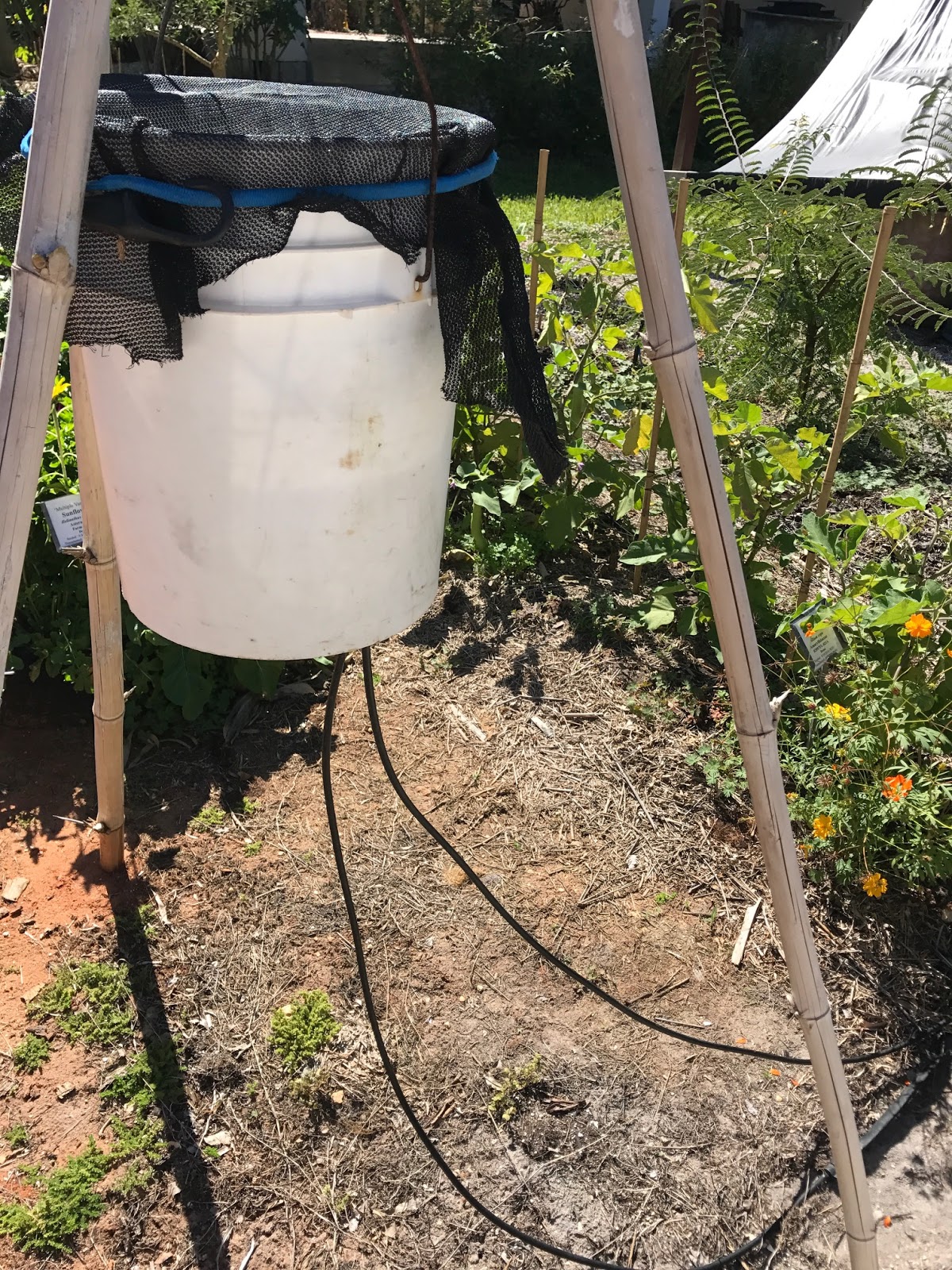 Diy Bucket Drip Irrigation