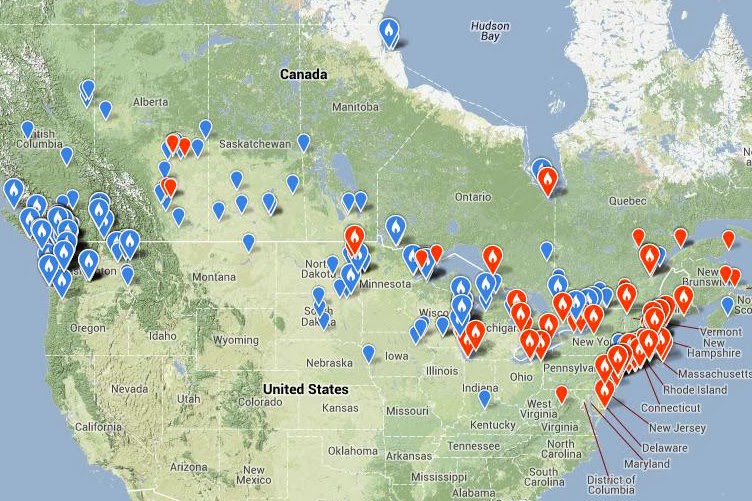 View from the Cape: Snowy Owls for Thanksgiving?