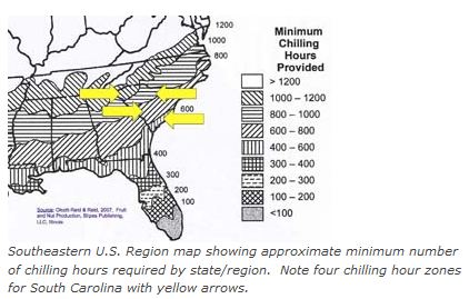 Gardening From the Ground Up: Aug 21, 2011