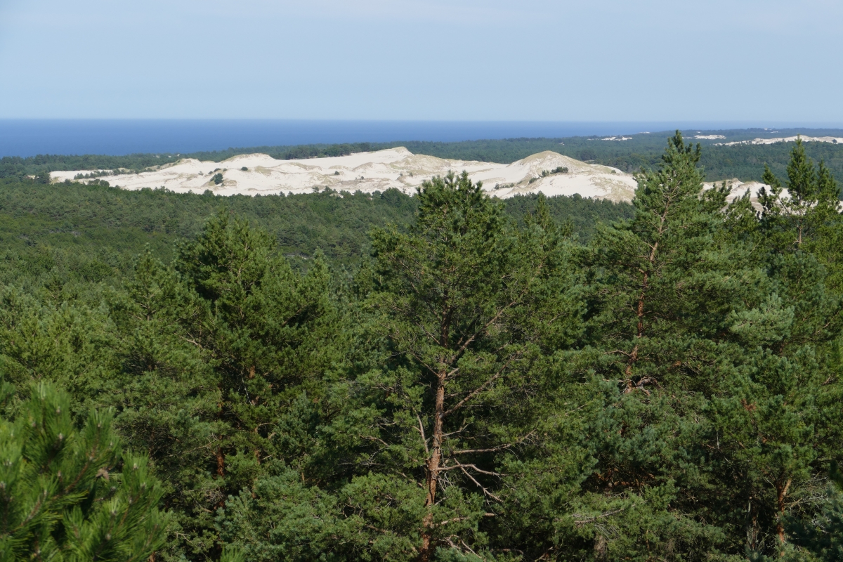 Andrea Rössler auf Weltreisen: Düne von Leba – endlich wieder Sand ...