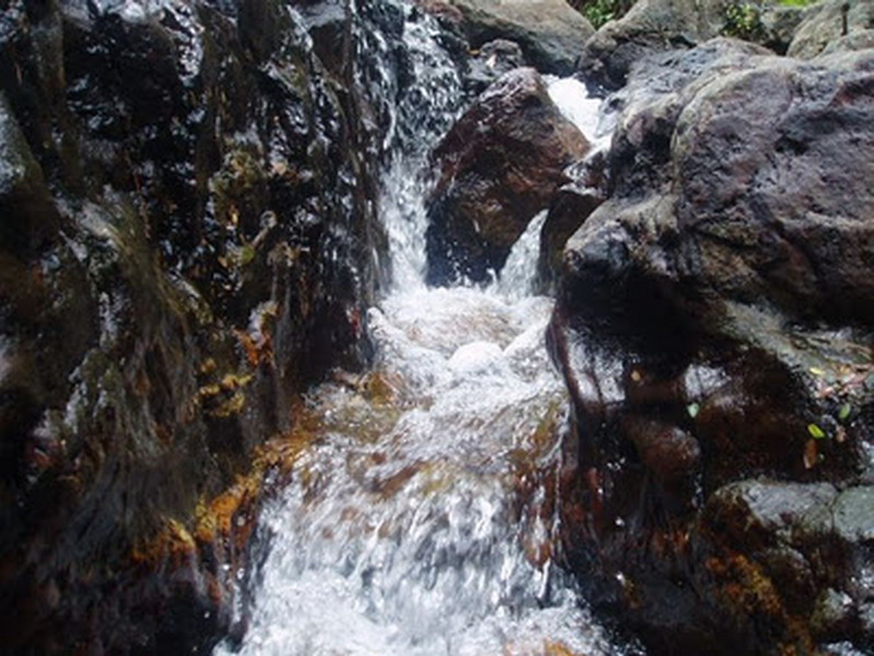 Sri Lanka - Nature: Pitawala Pathana