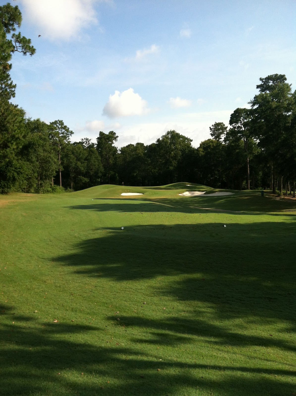 John K. Moore: Robert Trent Jones Golf Trail at Magnolia Grove (Short)