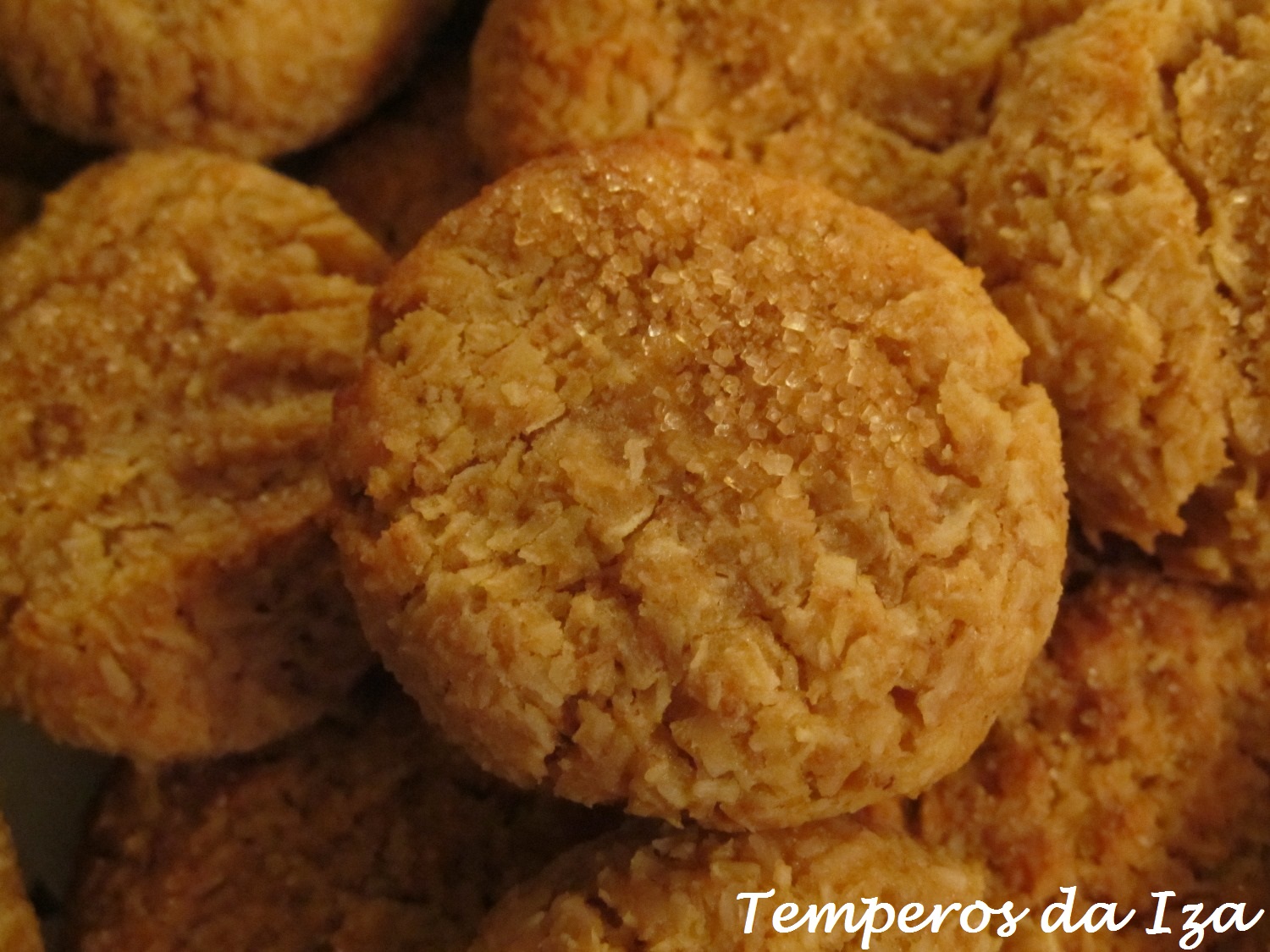 Temperos da Iza: Bolinhos Integrais de Coco e Leite Condensado Cozido