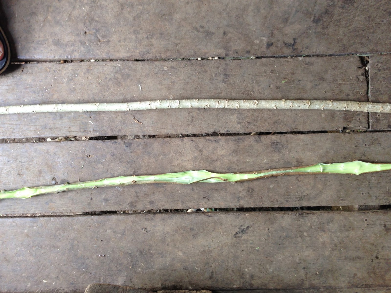 Elder and Sister Roberts Suva Fiji Mission: Tapa (Fijian paper) and ...