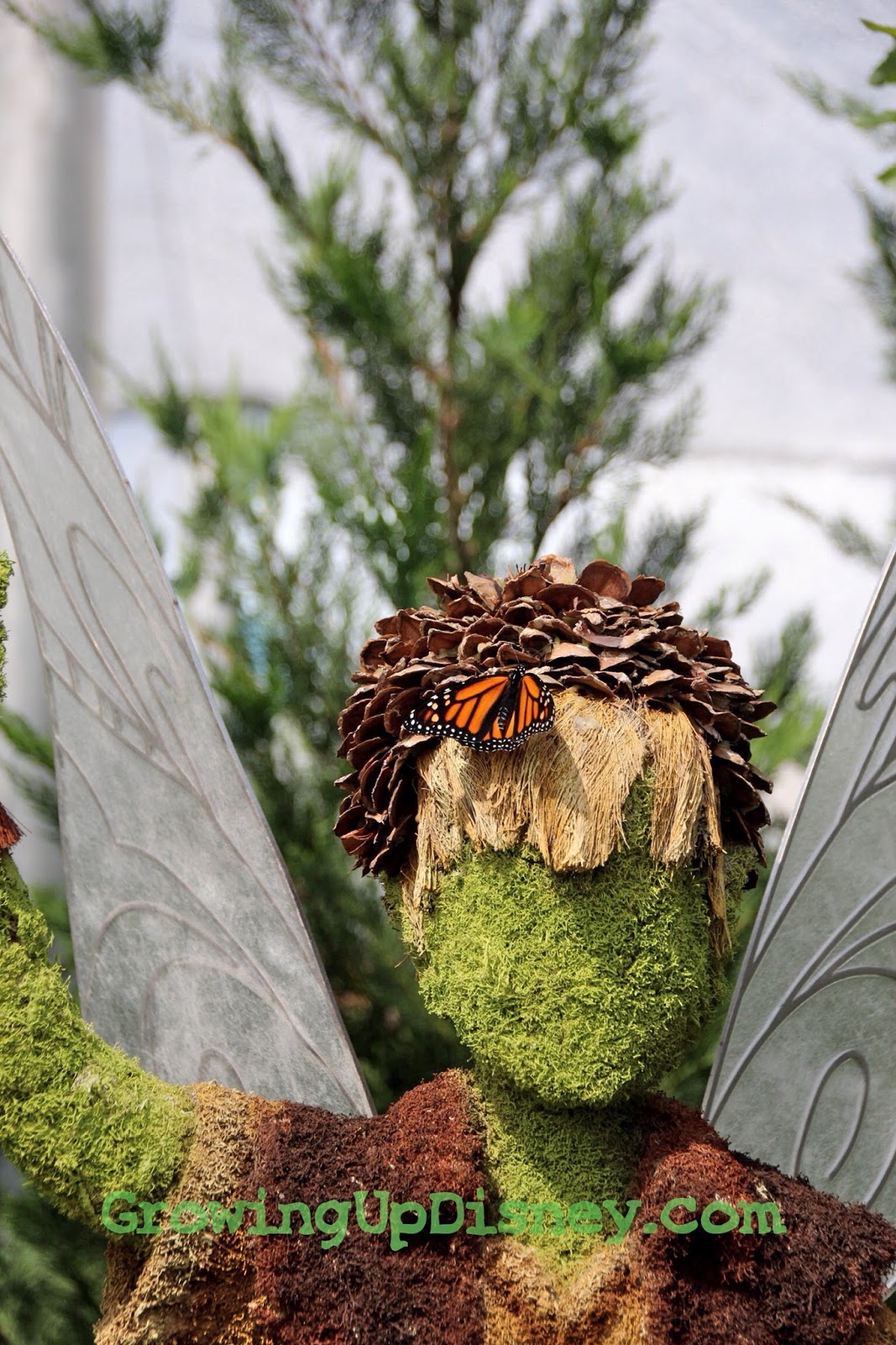 Growing Up Disney: Five Photos: Tinker Bell's Butterfly House