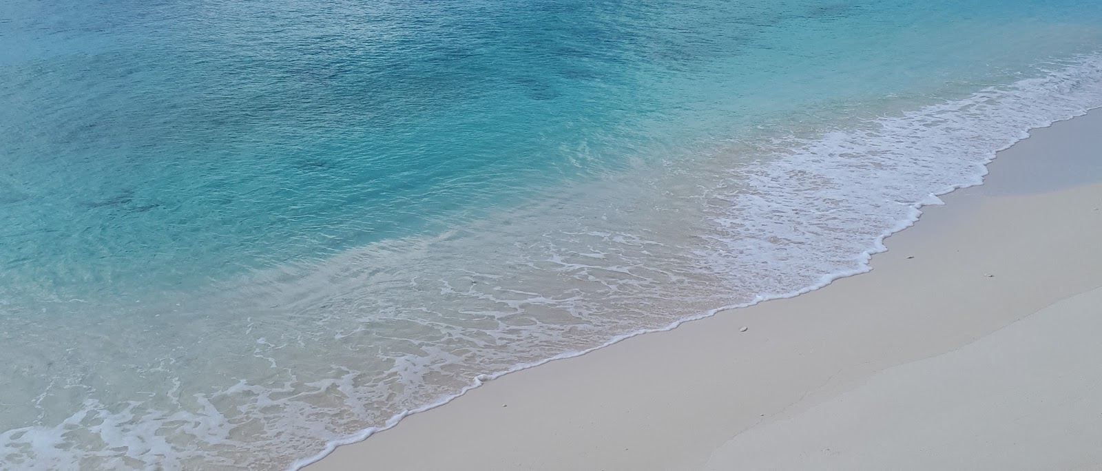 Ginette Forget, Artiste de la Présence