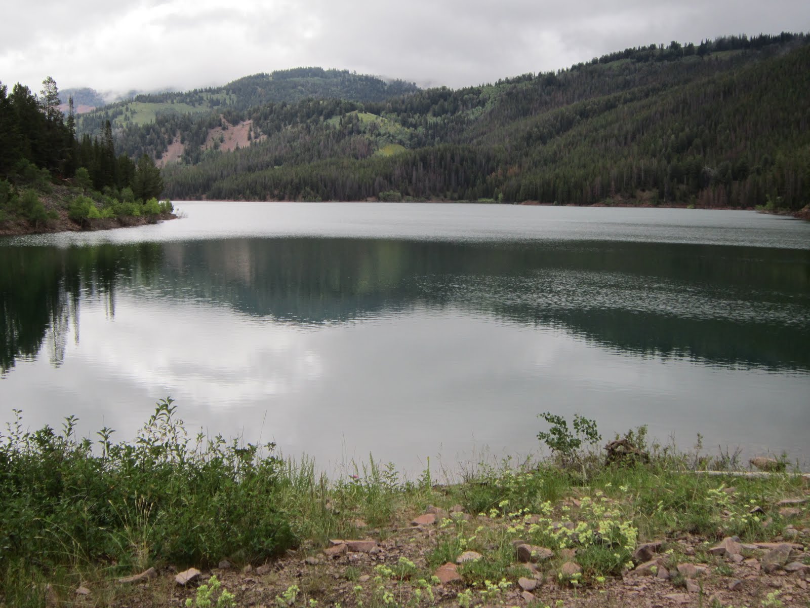 Christensen Blog: Lake Alice, Black Hawk trail, and what do you do with ...