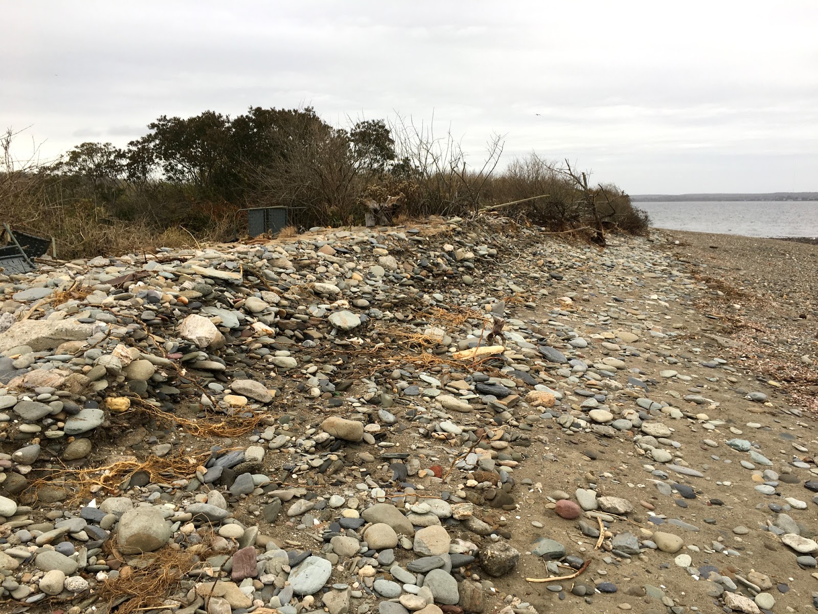 Gravel Beach: Sandy Point Beach