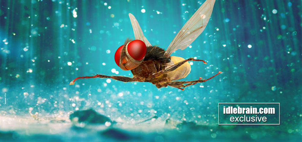 Intellectual and Aesthetic Cinema Feel: EEGA MOVIE REVIEW