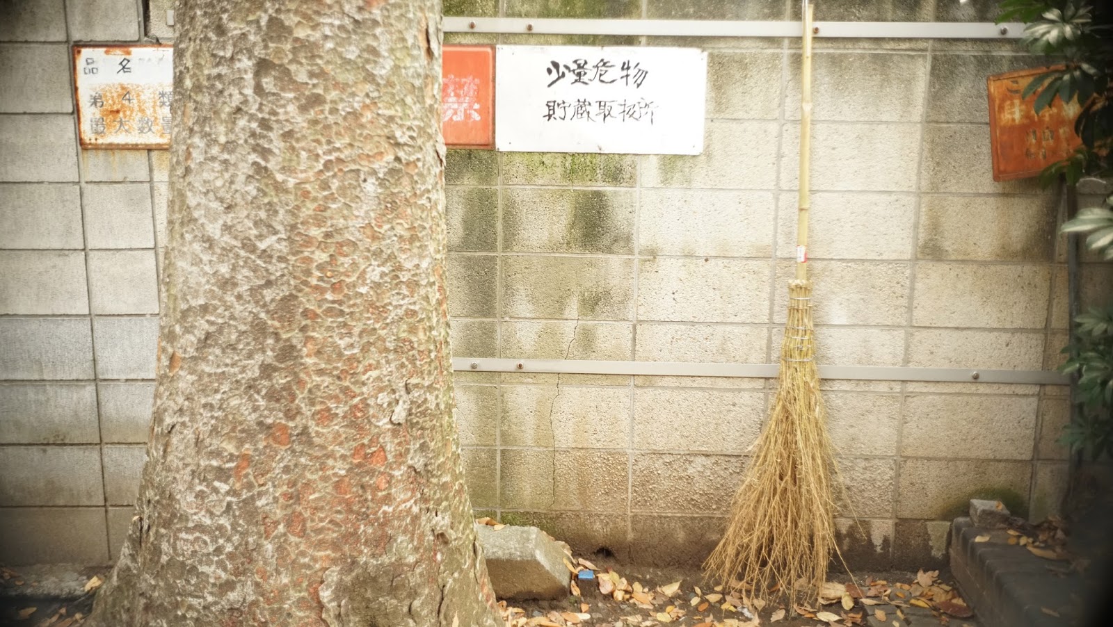 M42 MOUNT SPIRAL: 試写記録：KMZ Helios-33 35mm F2