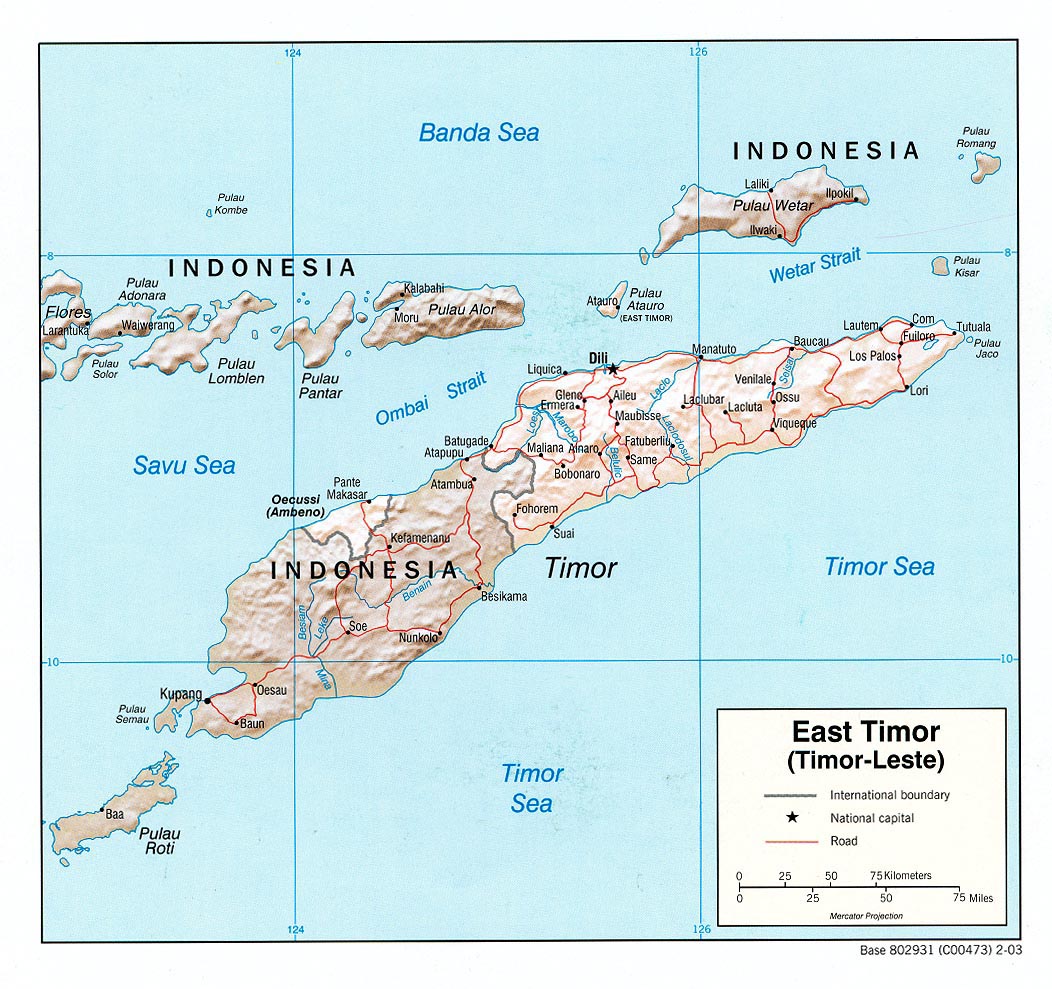 EAST TIMOR - GEOGRAPHICAL MAPS OF EAST TIMOR ~ Klima Naturali™