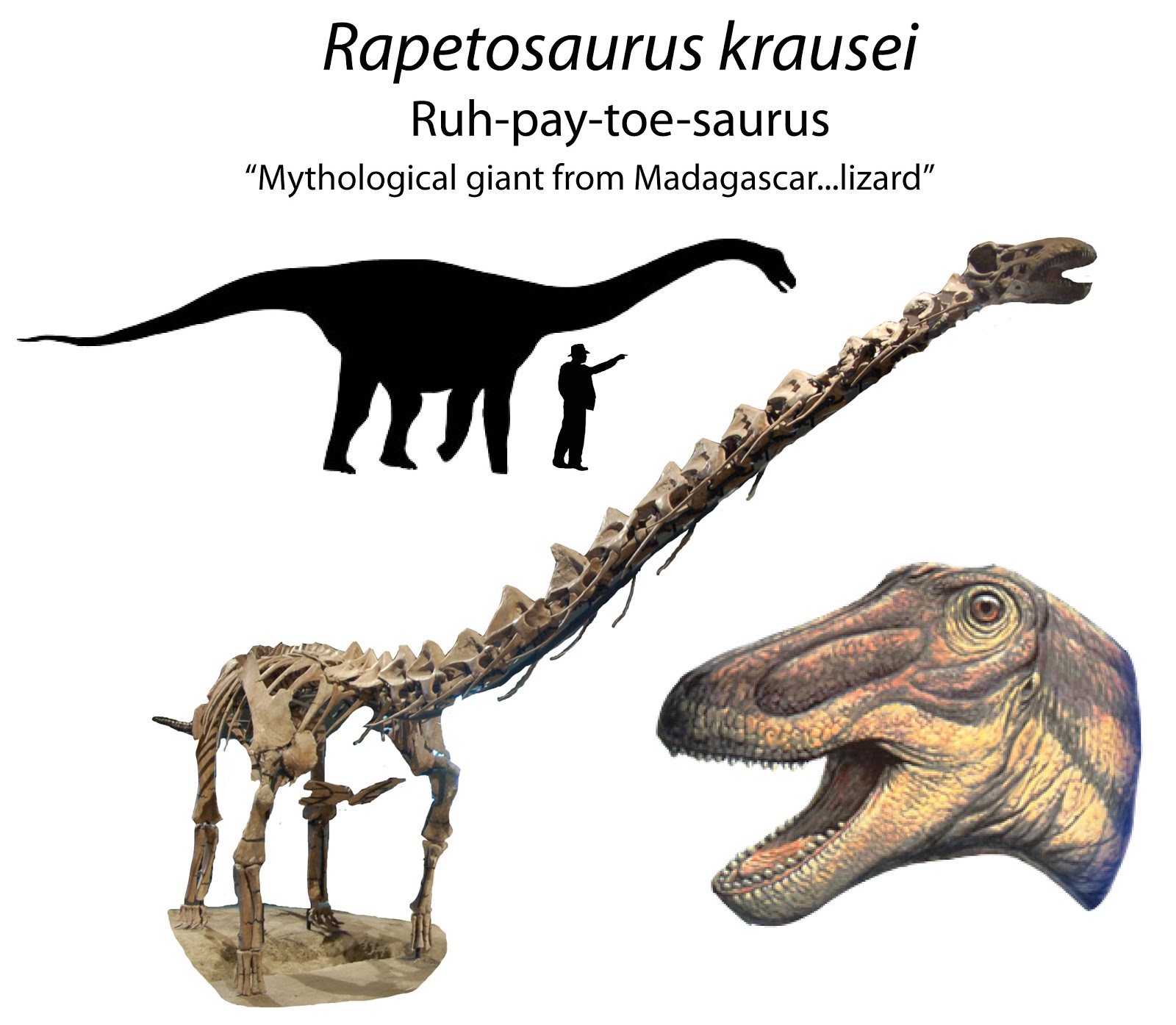 todo sobre la era de dinosaurios