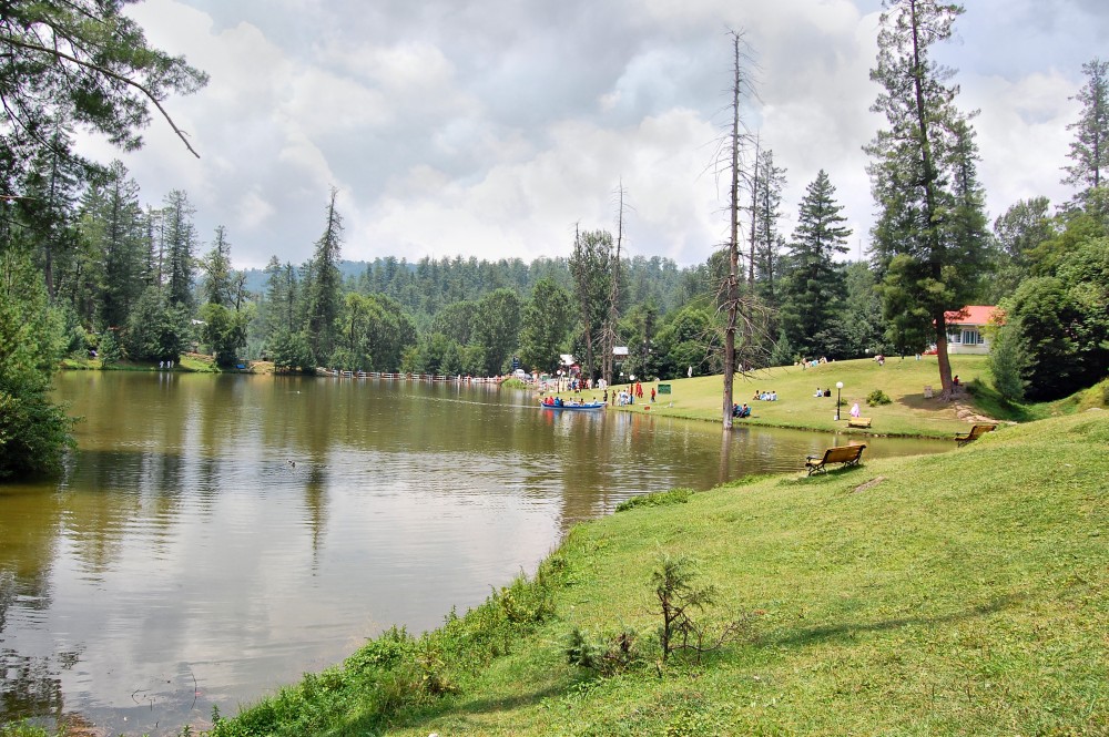 beauty of kashmir: ABOUT TOli peer and BANJOSA