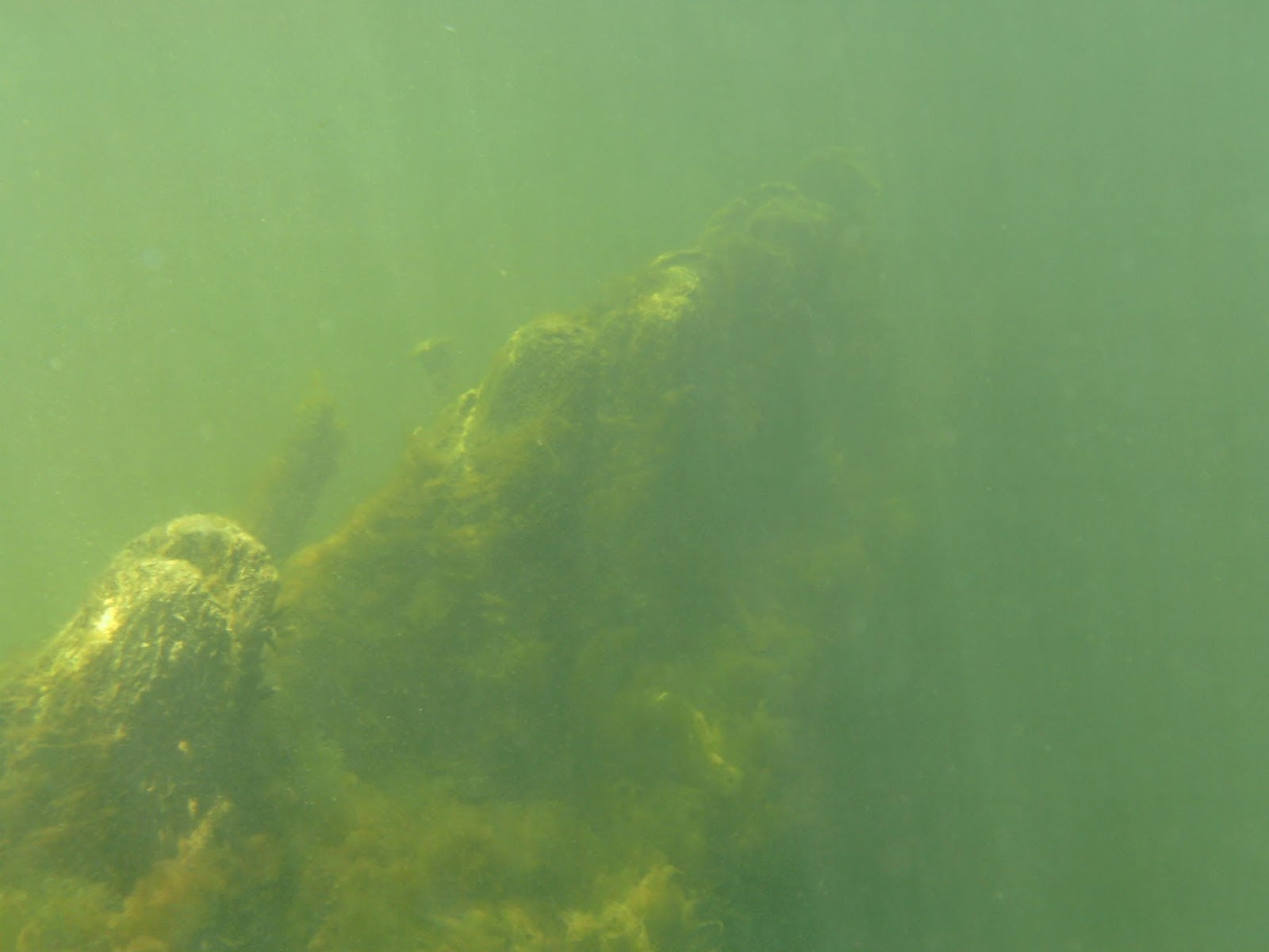 SHIPWRECKS OF THE IDA, EMPIRE STATE, OAK LEAF, BULLHEAD POINT DOOR ...