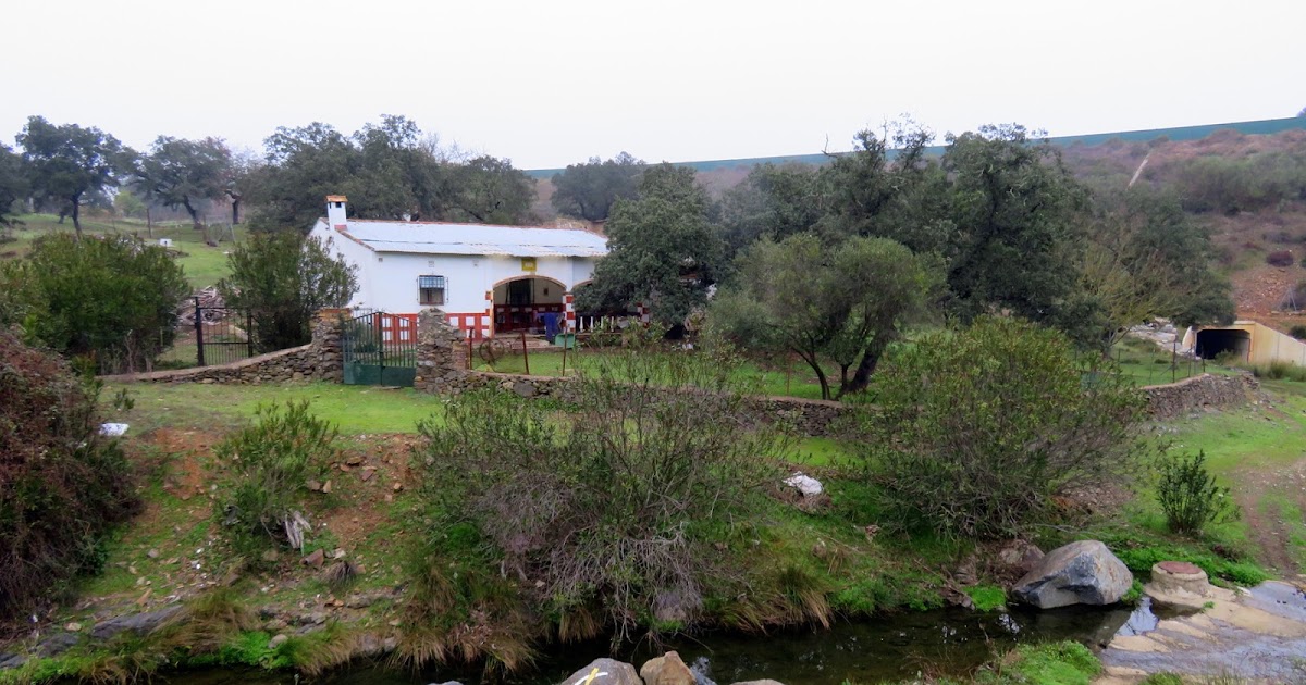 En Busca del Hada Azul: Sendero de Los Brezales en El Ronquillo
