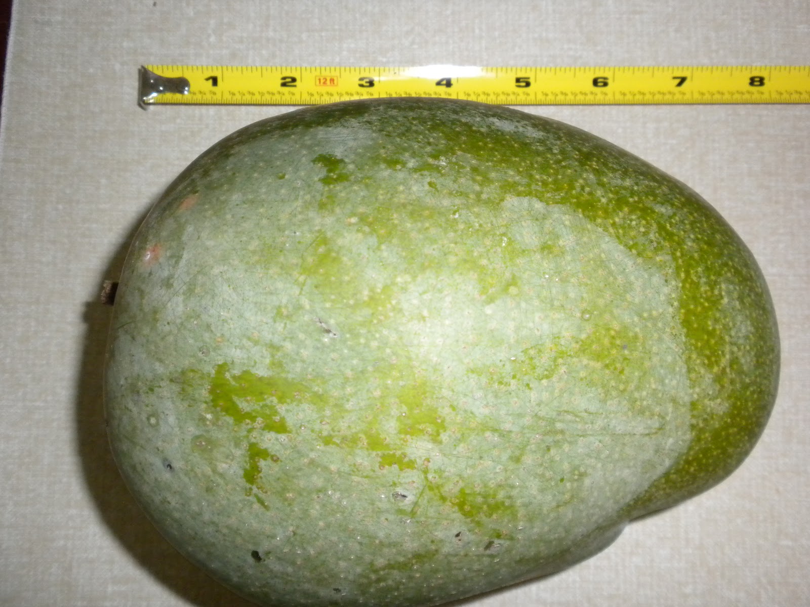 One Couple's Adventure in Africa: Harvest Season