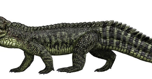 Escenarios prehistóricos: Smilosuchus