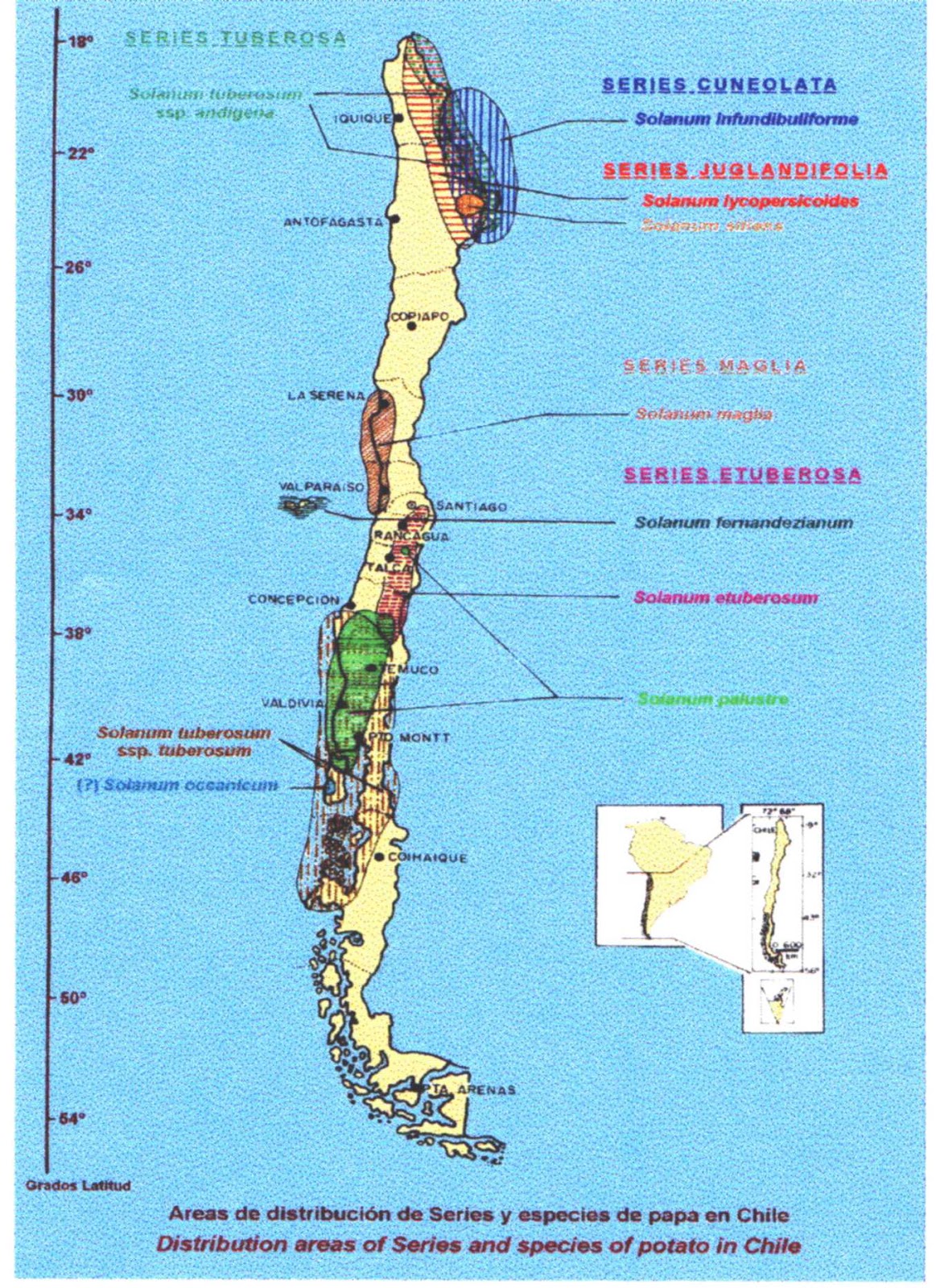 Nuestra Historia !!!: Chile Prehispánico