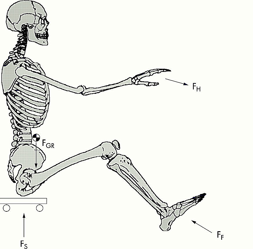 Outdoor Pursuits: Biomechanics of Erging