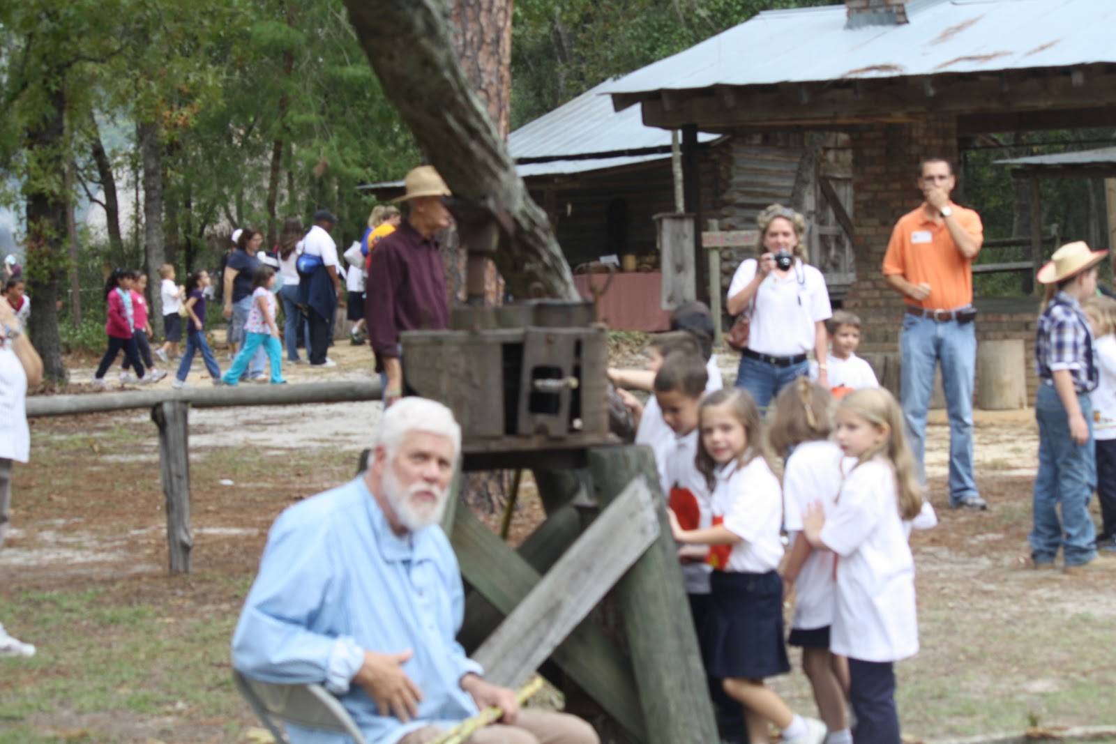 The Blue Whale and Other Travel Tales: Ocali Days at Silver River ...